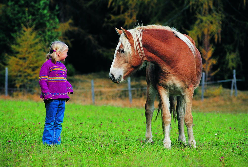 Tiergestützte Therapie mit Pferden | Rita Eichenberger